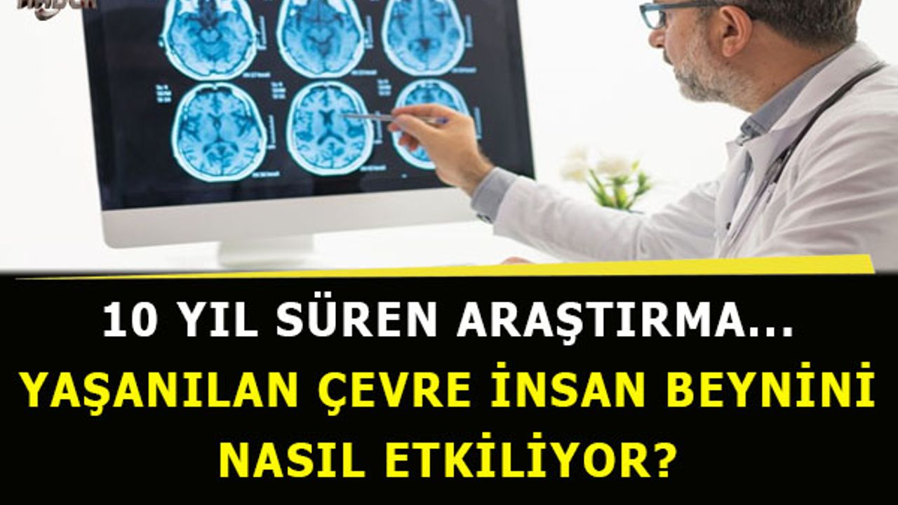 10 yıl süren araştırma: Yaşanılan çevre insan beynini nasıl etkiliyor ...