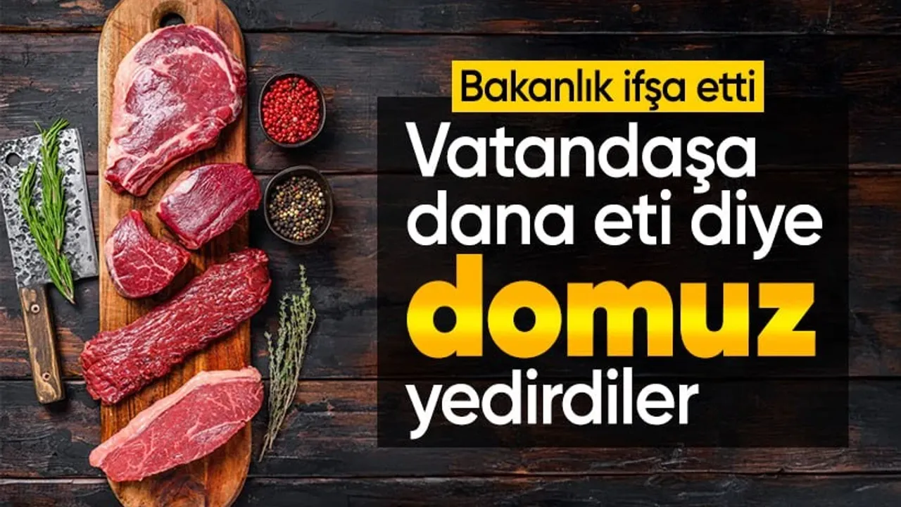 Bakanlık’tan Yeni Liste: Dana Eti Diye En Çok Domuz Eti Satılan 2 İl ...