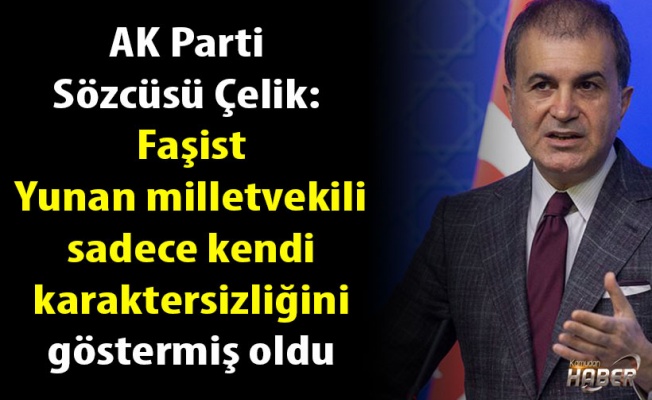 AK Parti Sözcüsü Çelik: Faşist Yunan milletvekili sadece kendi ...