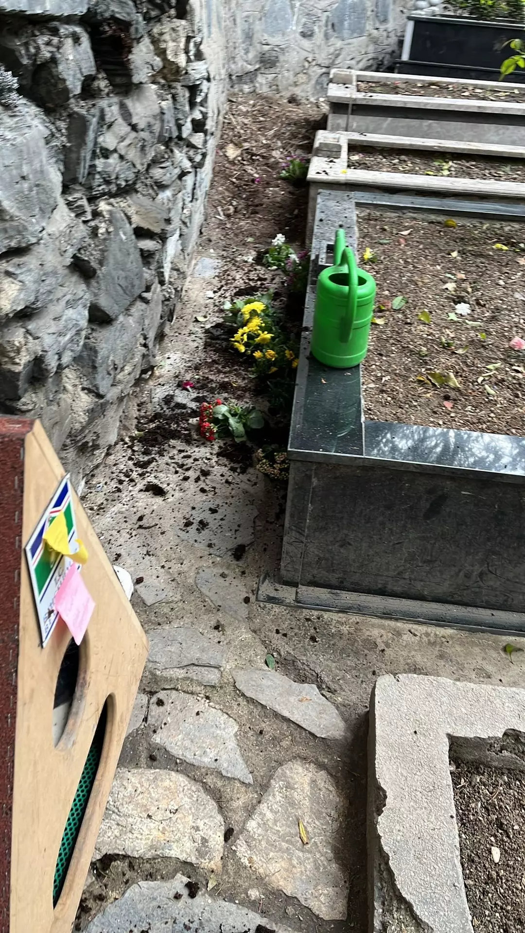 Duruşma günü Ahmet Minguzzi’nin mezarına çirkin saldırı! Aile ölüm ...